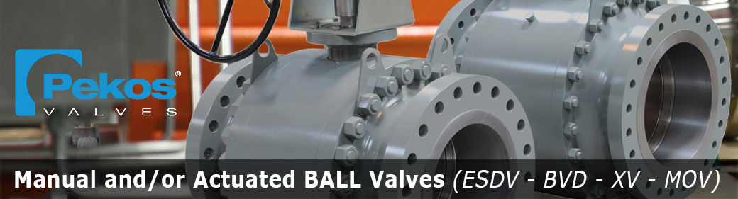 E.P. & S. english version