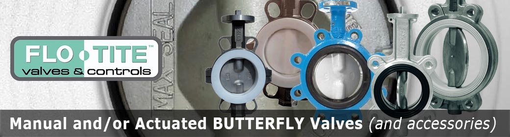 E.P. & S. english version